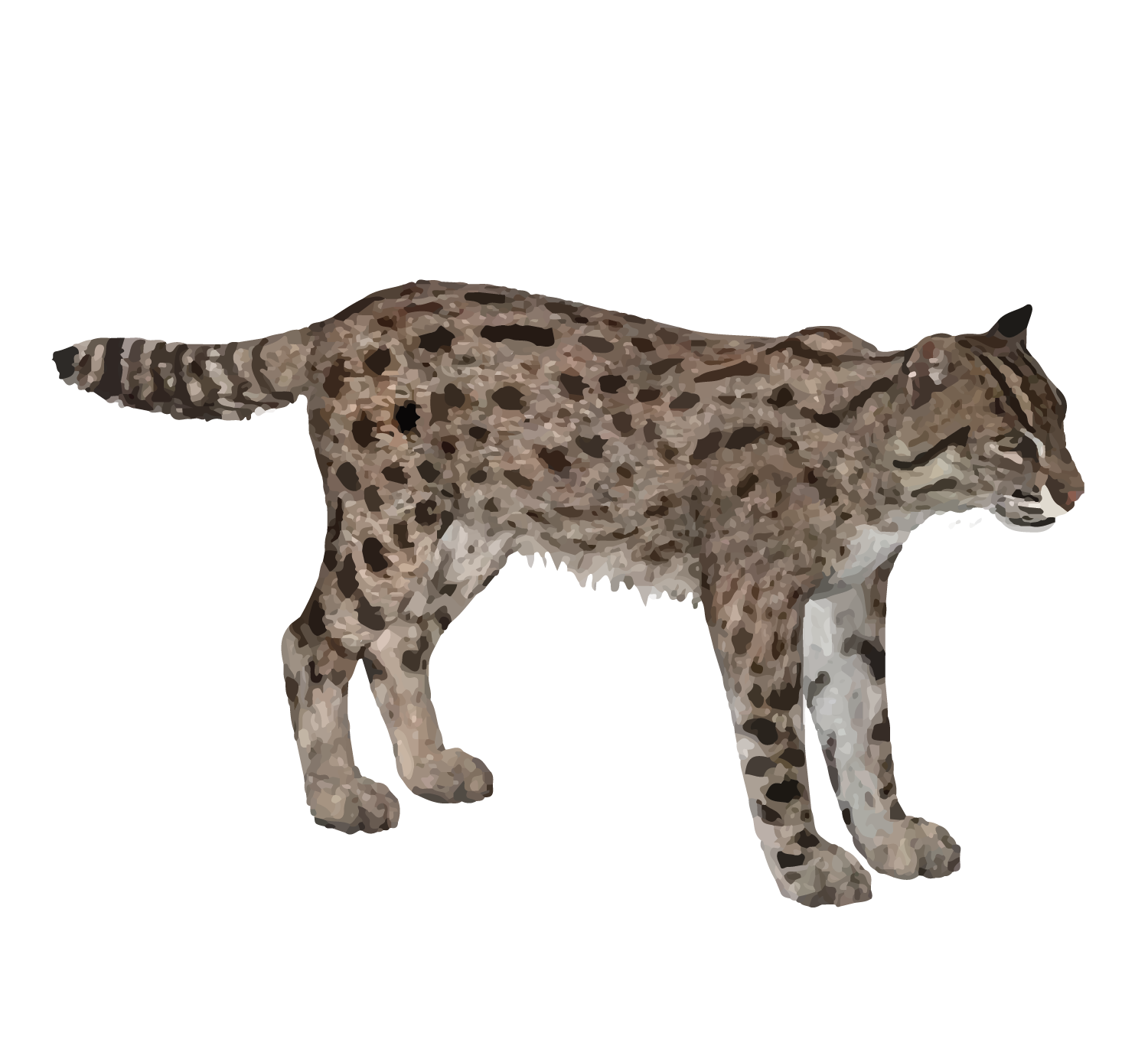 West Bengal SA - World For Nature