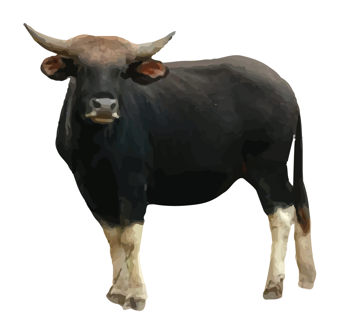 Arunachal Pradesh SA - World For Nature