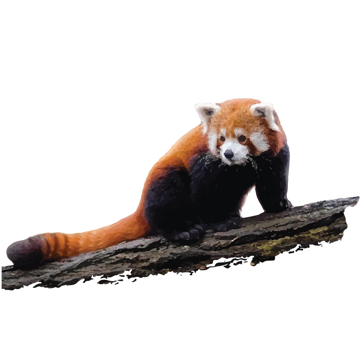 Sikkim SA - World For Nature