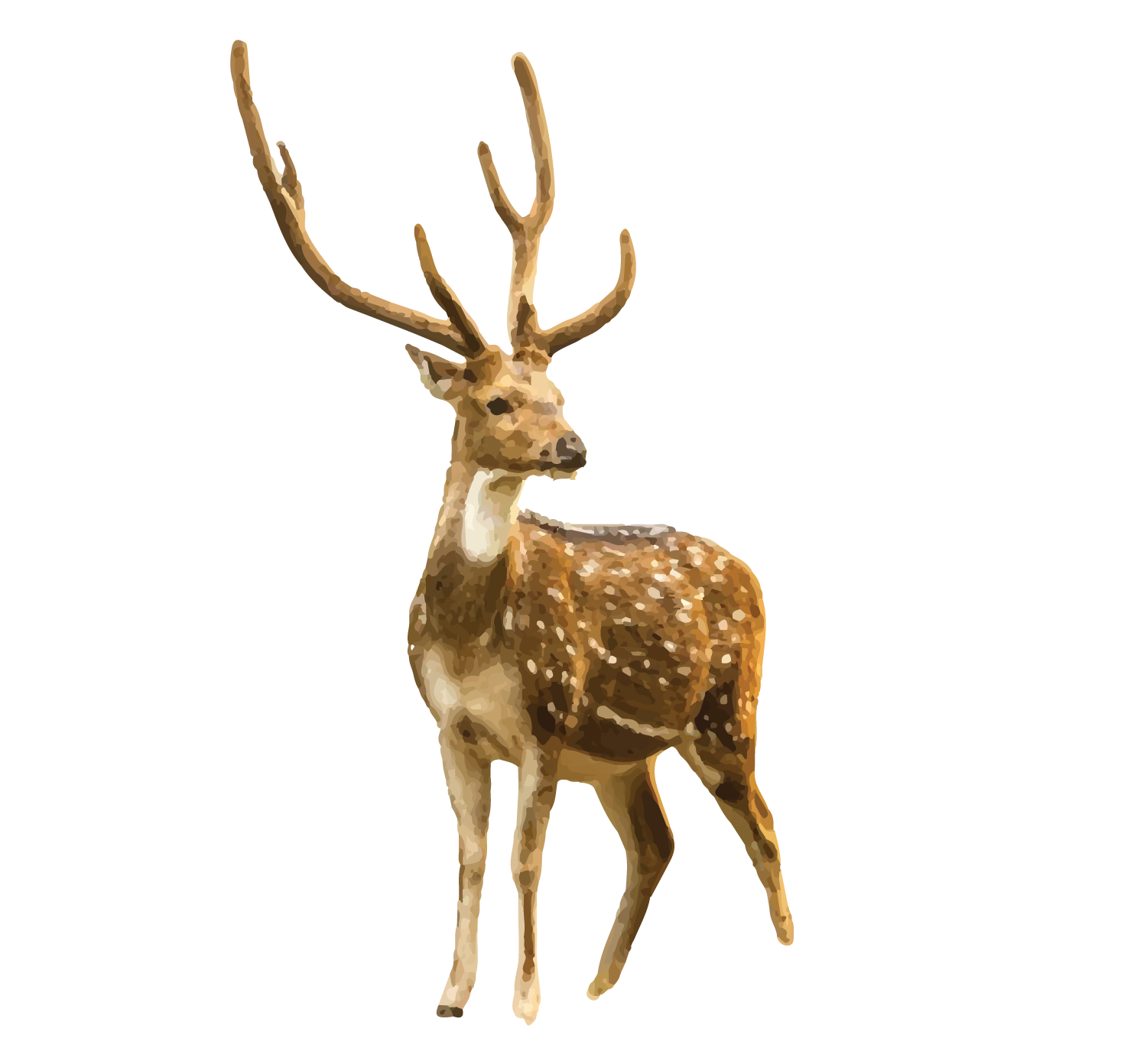 Telangana SA - World For Nature