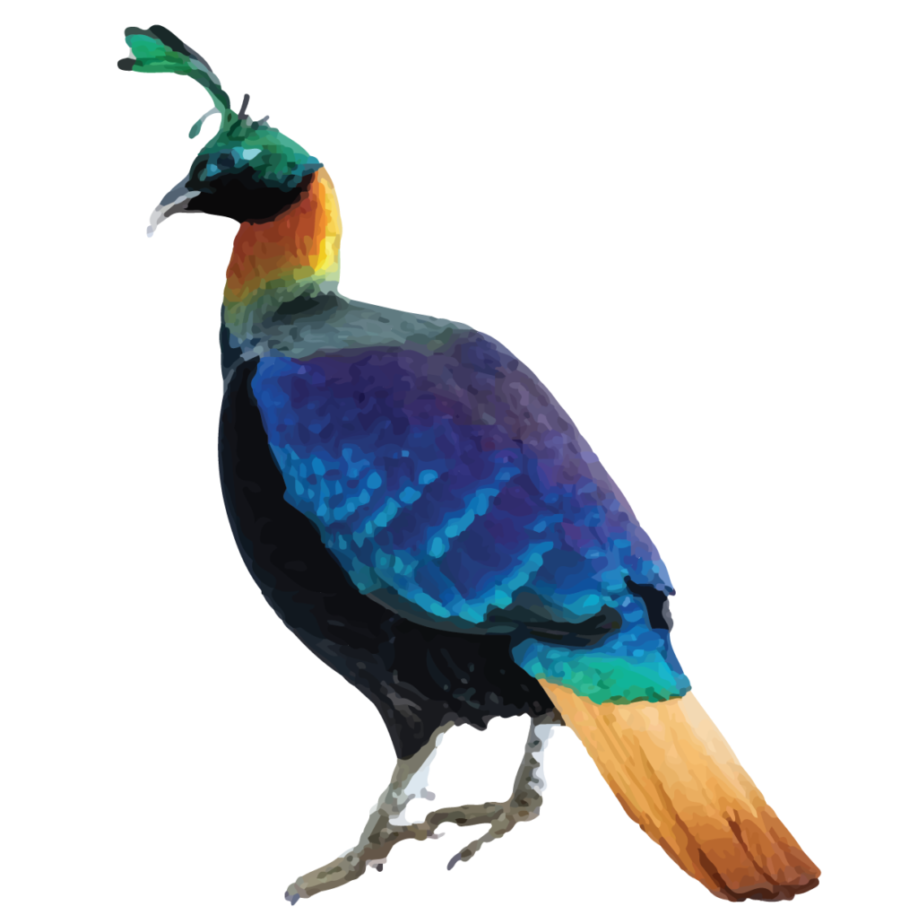 Uttarakhand SB - World For Nature