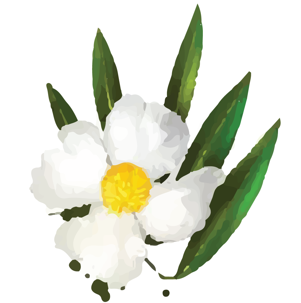 Tripura SF - World For Nature