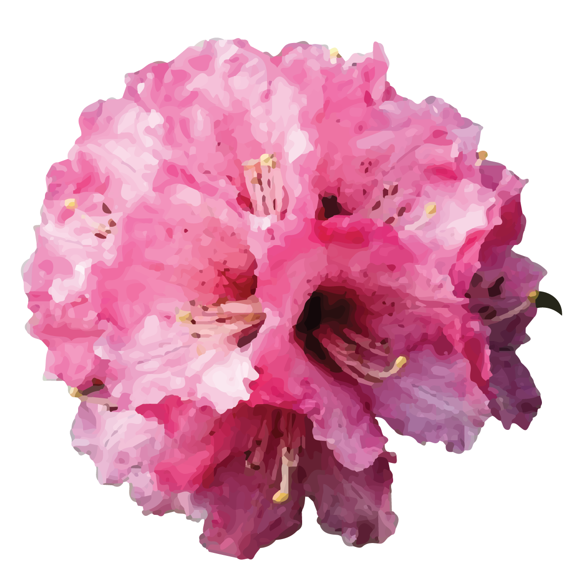 Himachal Pradesh SF - World For Nature