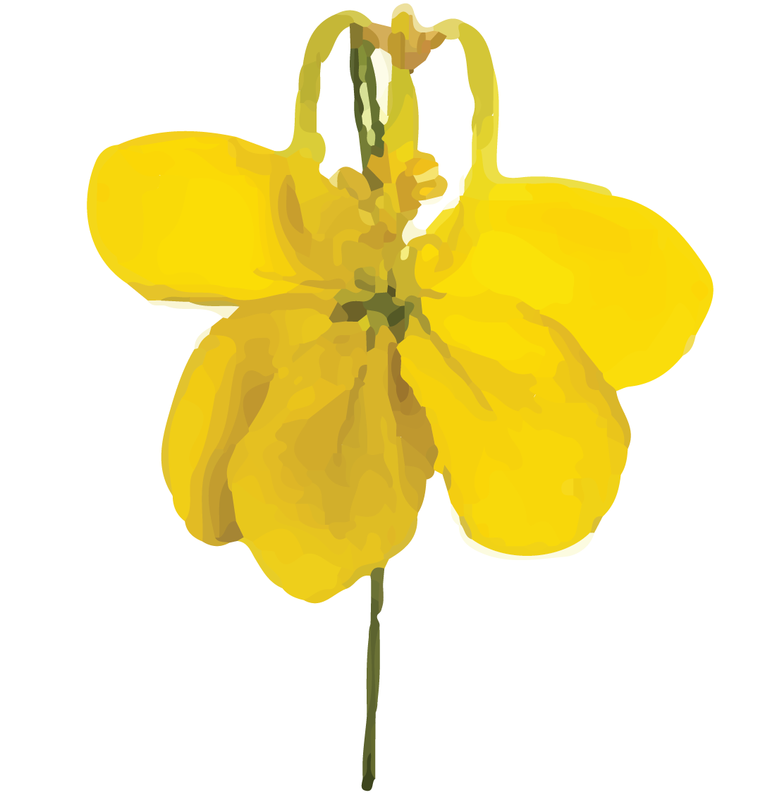 Telangana SF - World For Nature